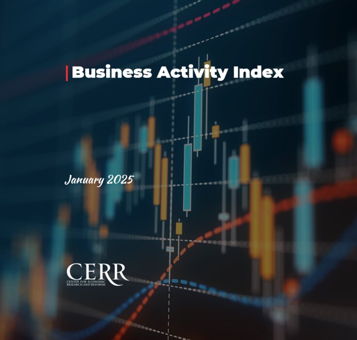 The year started with a moderate increase in the Business Activity ...